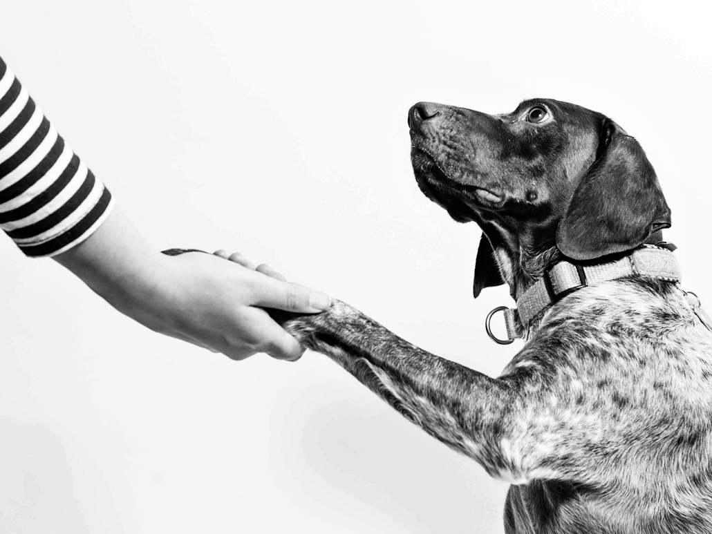 [Radar TSI #192] Como fortalecer a confiança do consumidor e